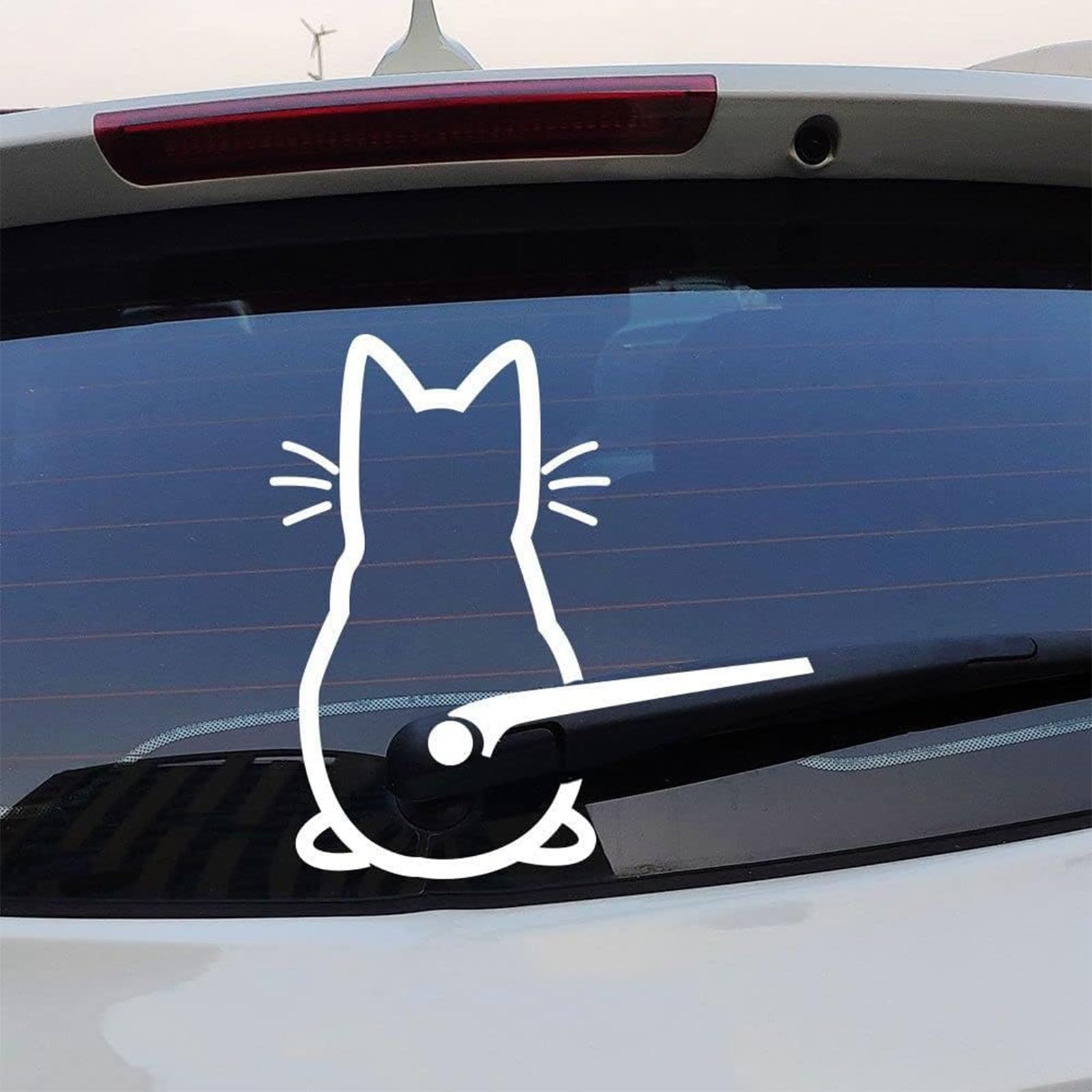 Car Rear Window