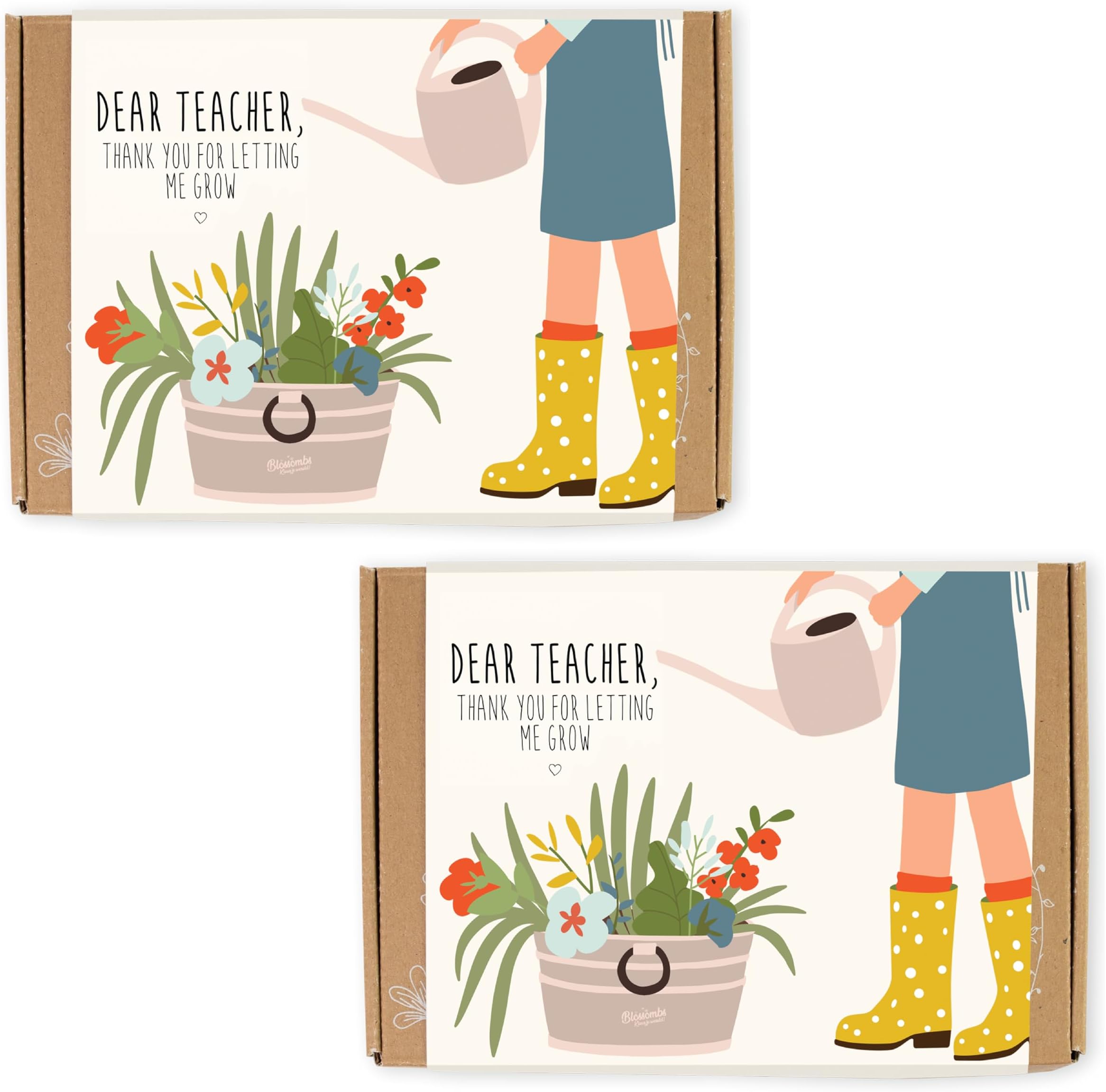 Amazon.com : Blossombs 2 Small Boxes Dear Teacher, Flower Grow Kit ...