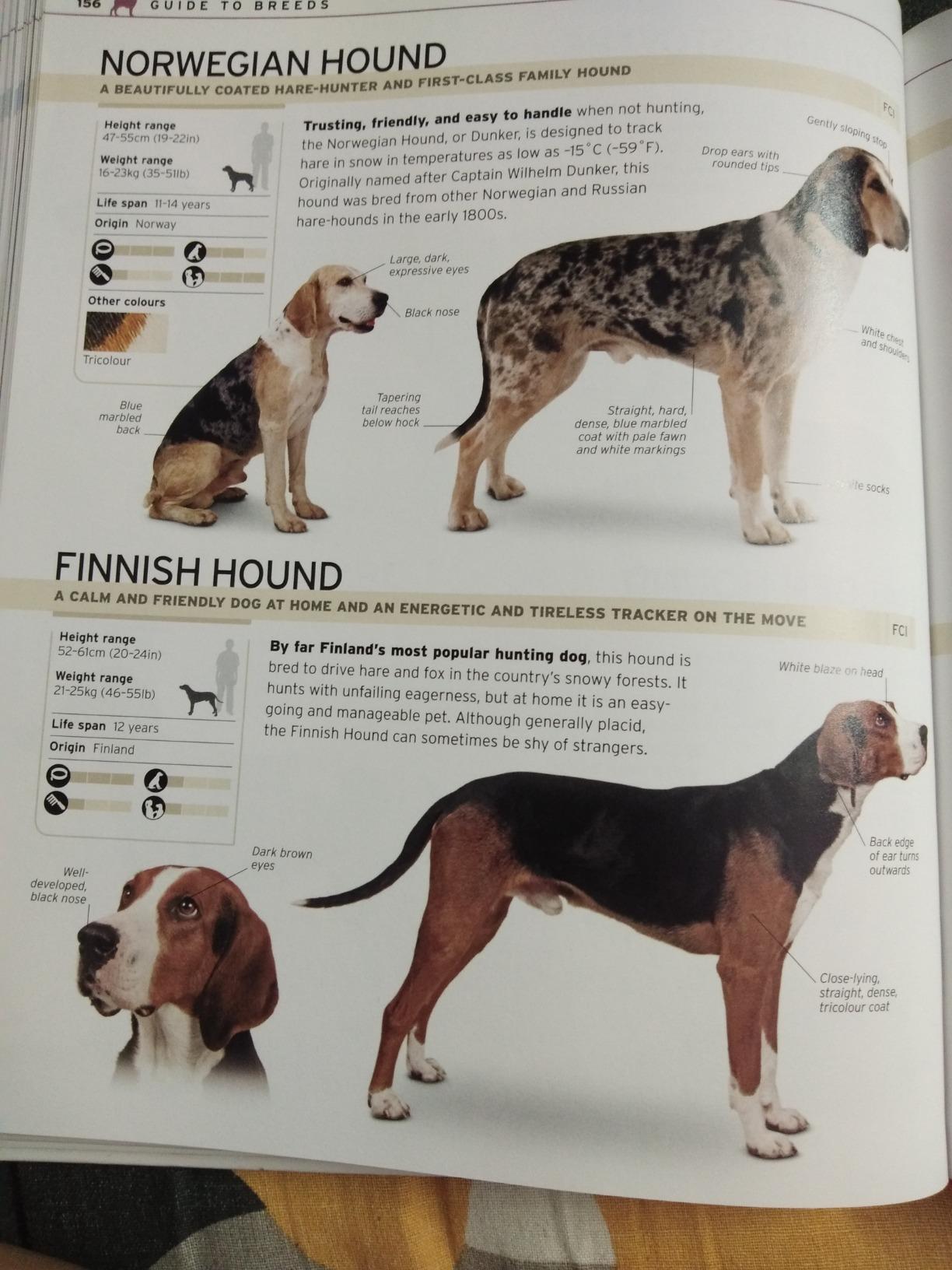 Buy The Complete Dog Breed Book: Choose the Perfect Dog For You Book ...