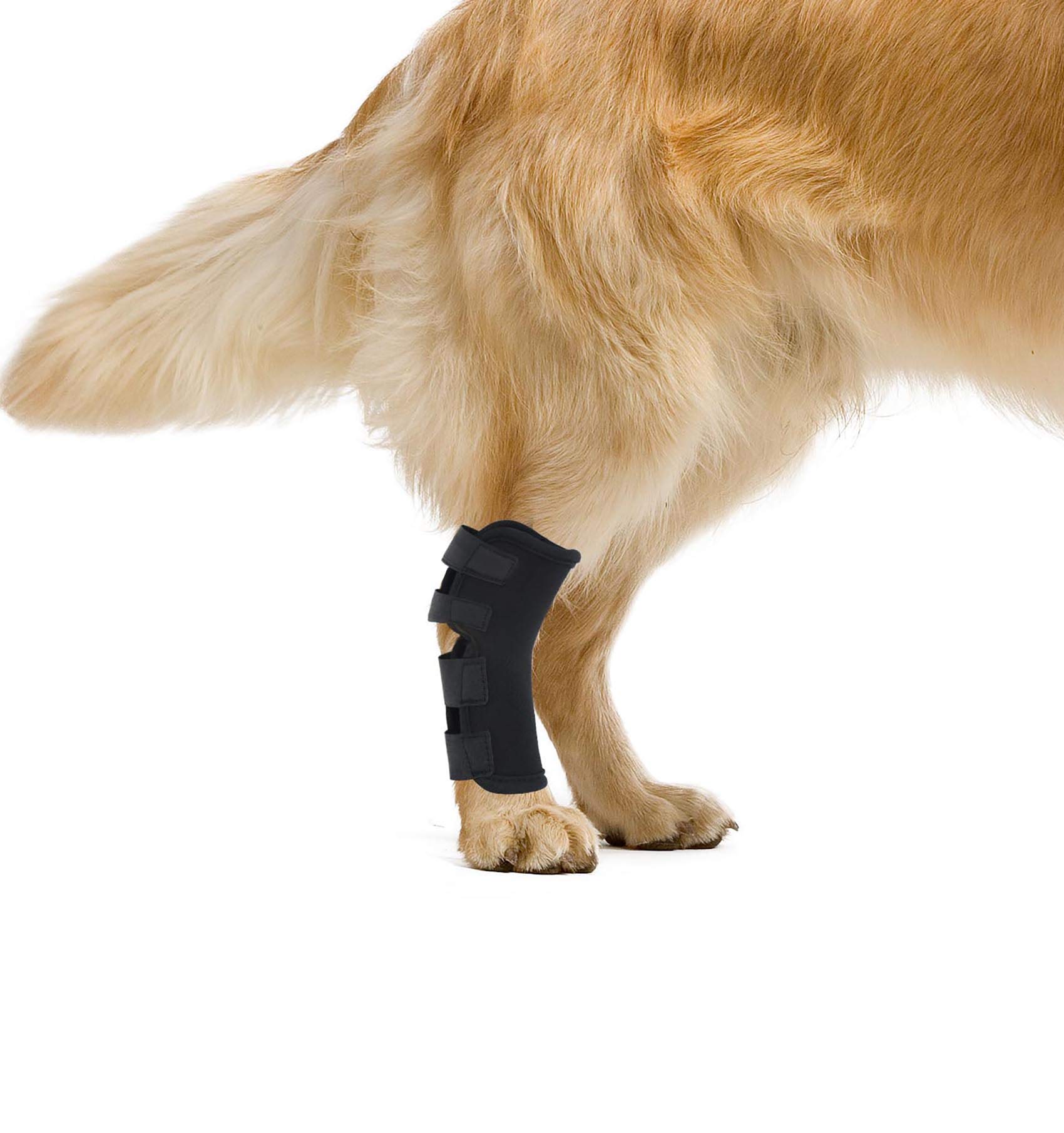 Buy YAODHAOD Dog Leg Brace,Dog Hock Joint Wrap Protects Wounds as They ...