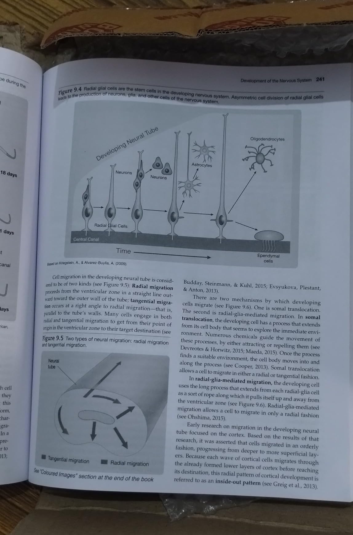 Buy Biopsychology, 11Th Edition Book Online at Low Prices in India ...