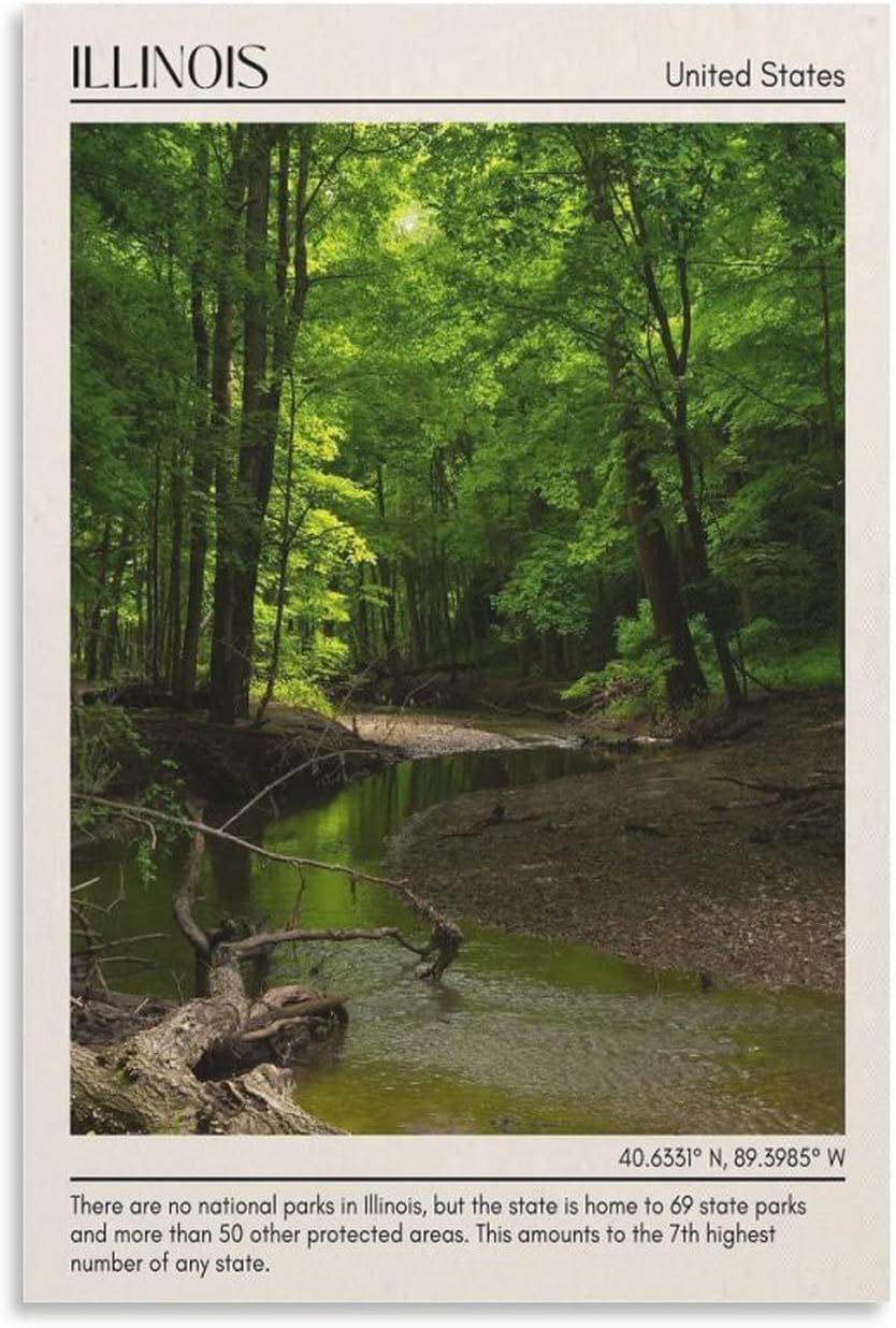 Amazon.com: Illinois Wall Art, Illinois Canvas, Illinois Framed Poster ...