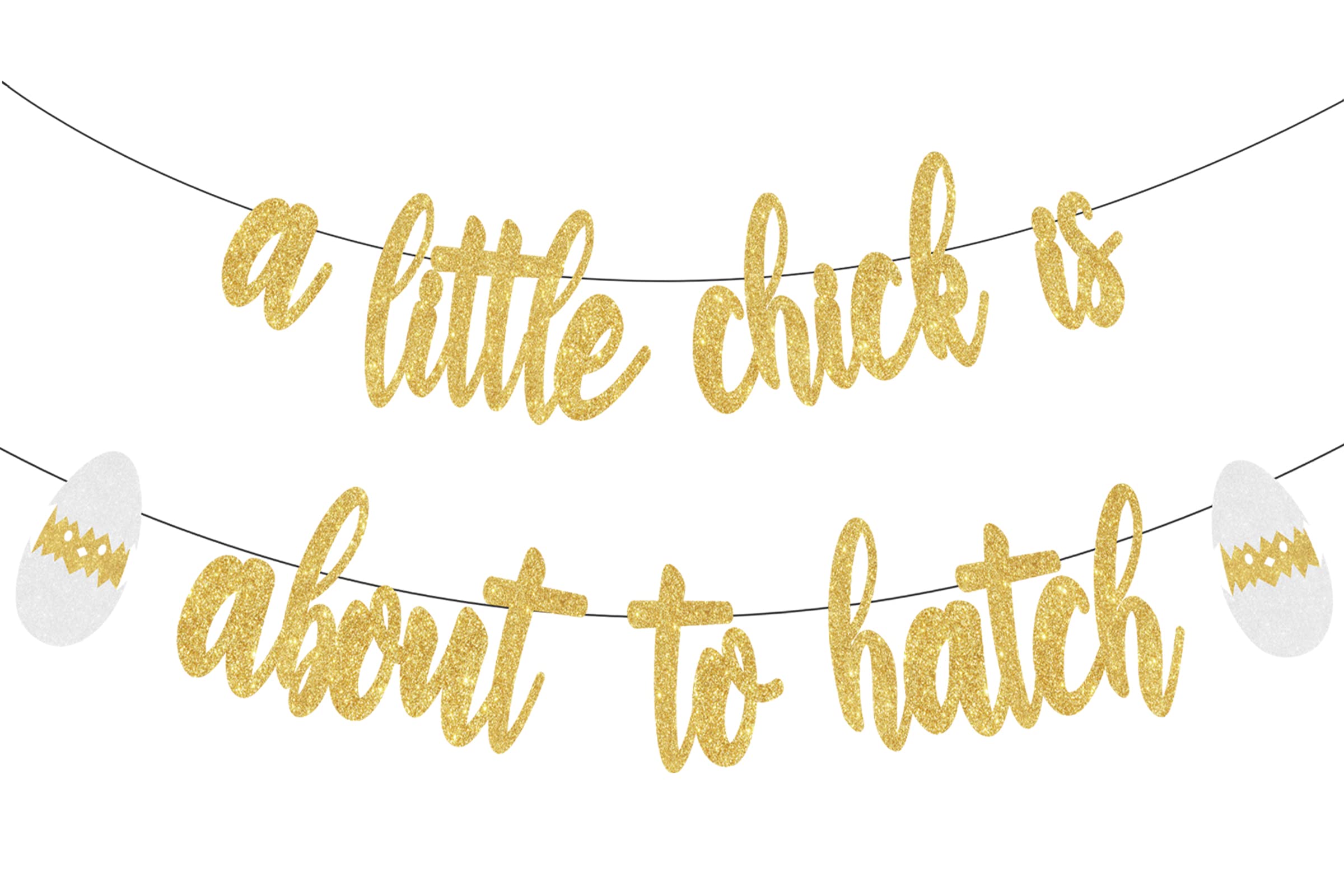 Amazon.com: Little Chick Baby Shower Decorations, A Little Chick Is ...