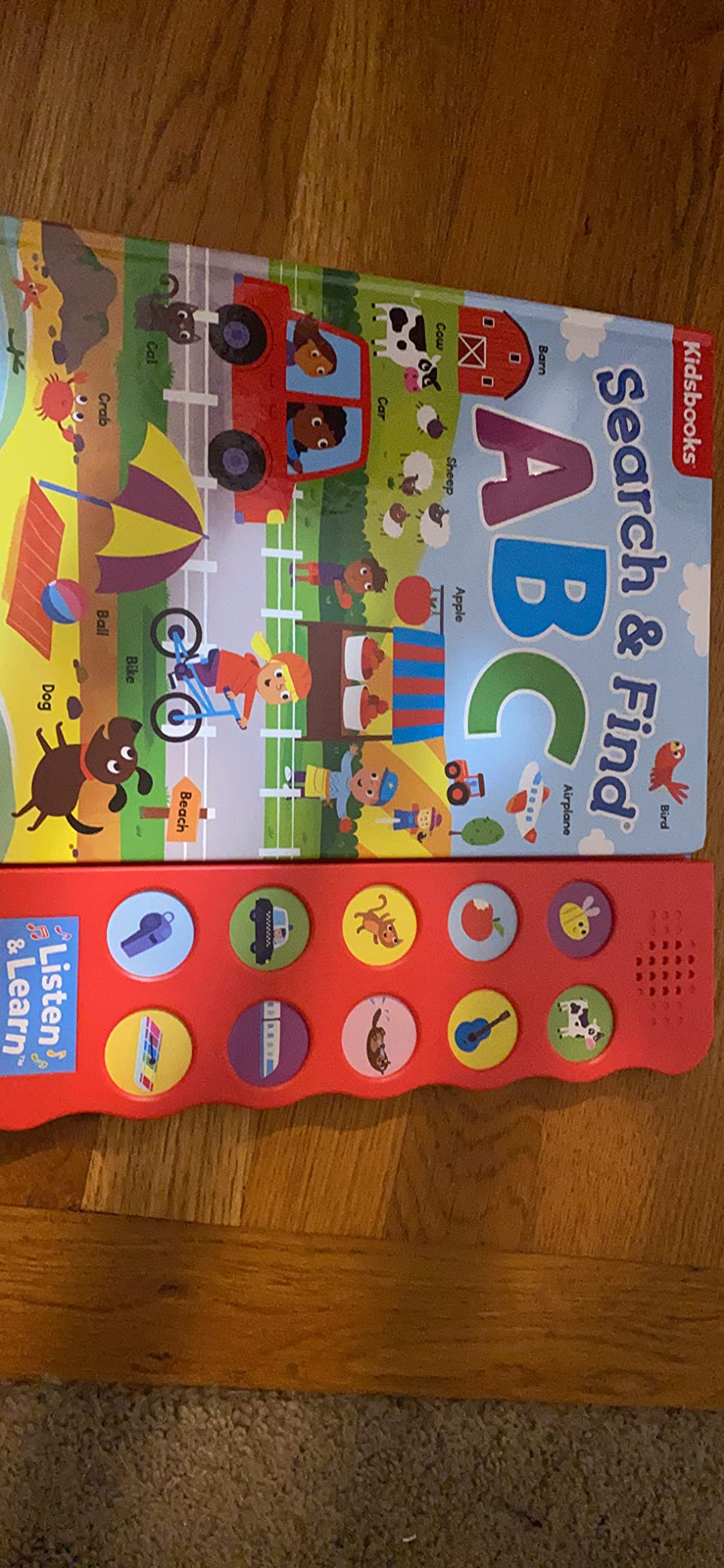 Search & Find: ABC Sound Book-With 10 Fun-to-Press Buttons, a Perfect ...