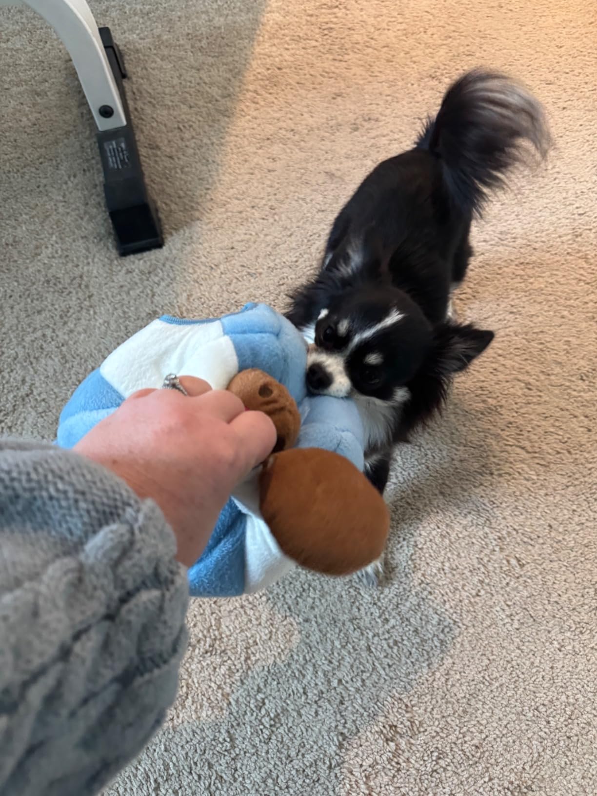 $4/mo - Finance ZippyPaws Burrow Puzzle Plush Dog Toy, Interactive ...