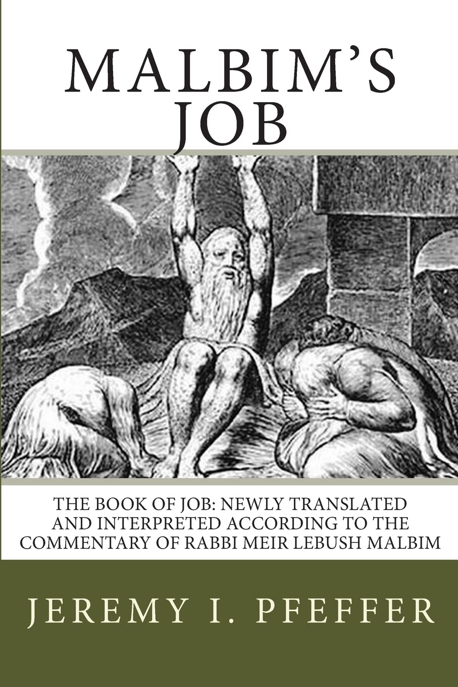 Malbim's Job: The Book of Job: Newly Translated and Interpreted ...