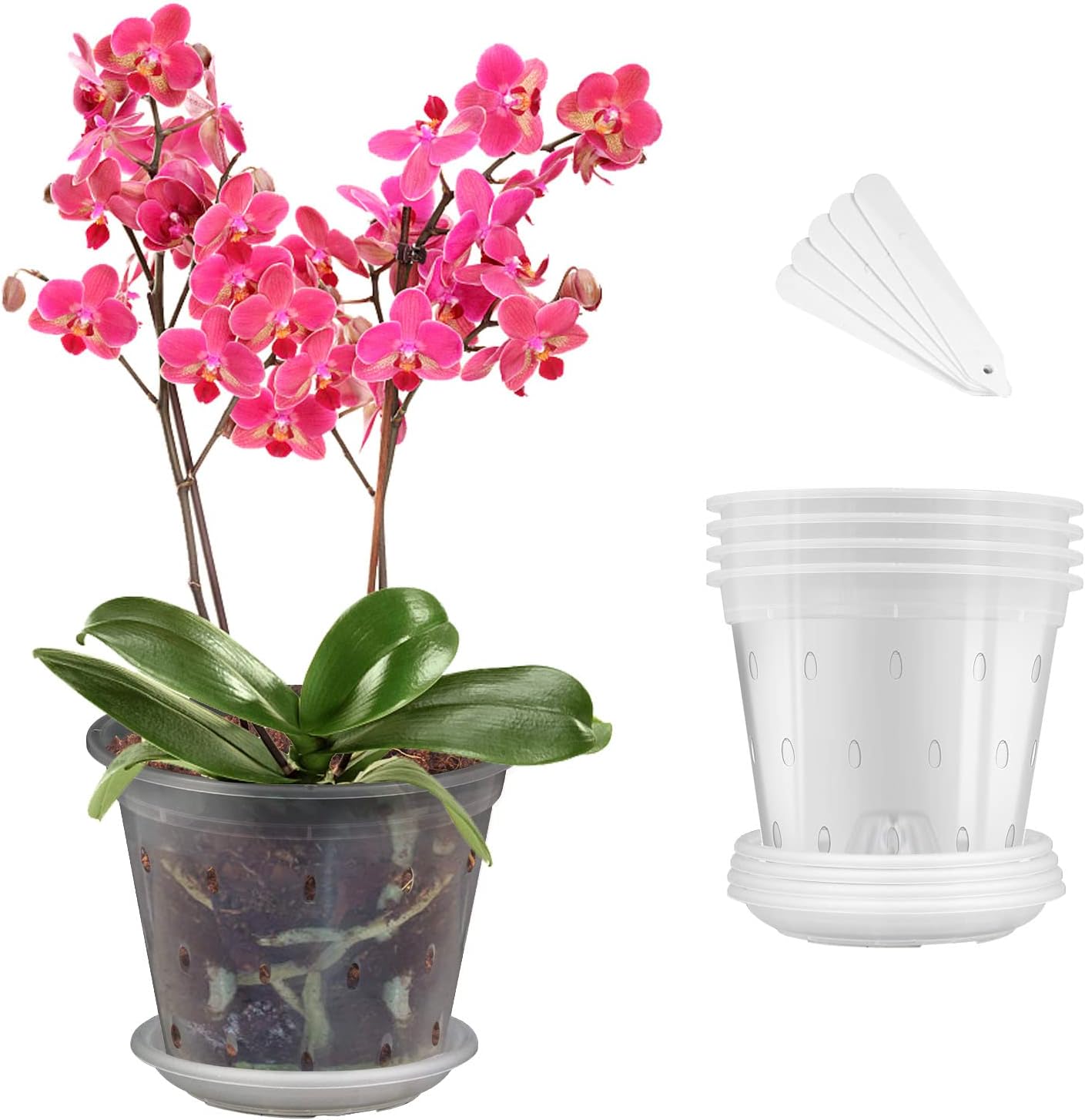 Amazon.com: YOPIKUU Orchid Pot,3 4 5 6 Inch 8 Pack Orchid Pots with ...