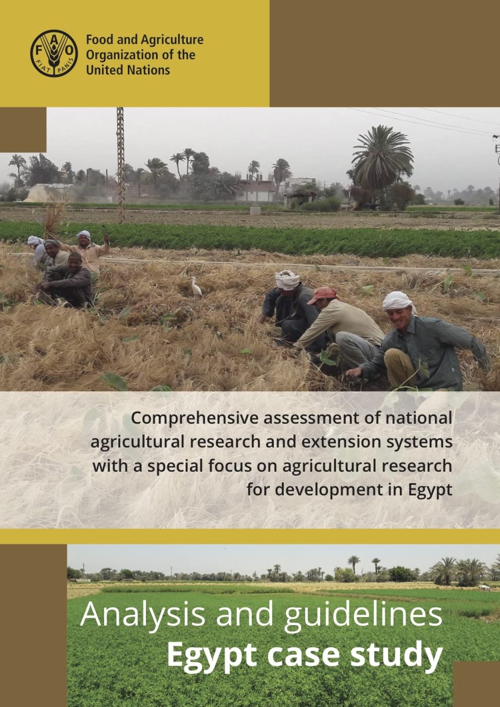 Buy Analysis and guidelines: Egypt case study, comprehensive assessment ...