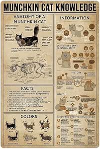 Amazon.com: Munchkin Cat Knowledge Metal Tin Signs Infographic Posters ...