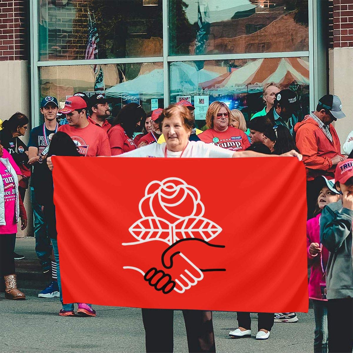 Democratic Socialist Flag