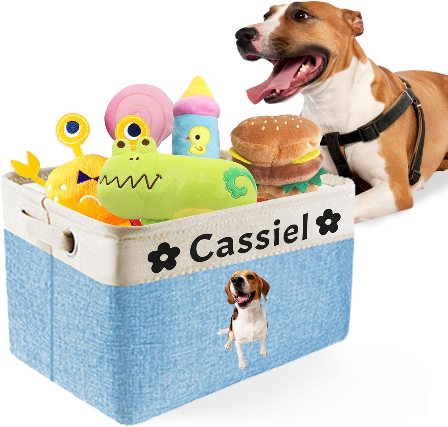 Amazon.com: RECFUNOS Dog Toy Basket, Custom Dog Storage Box with Pet’s ...