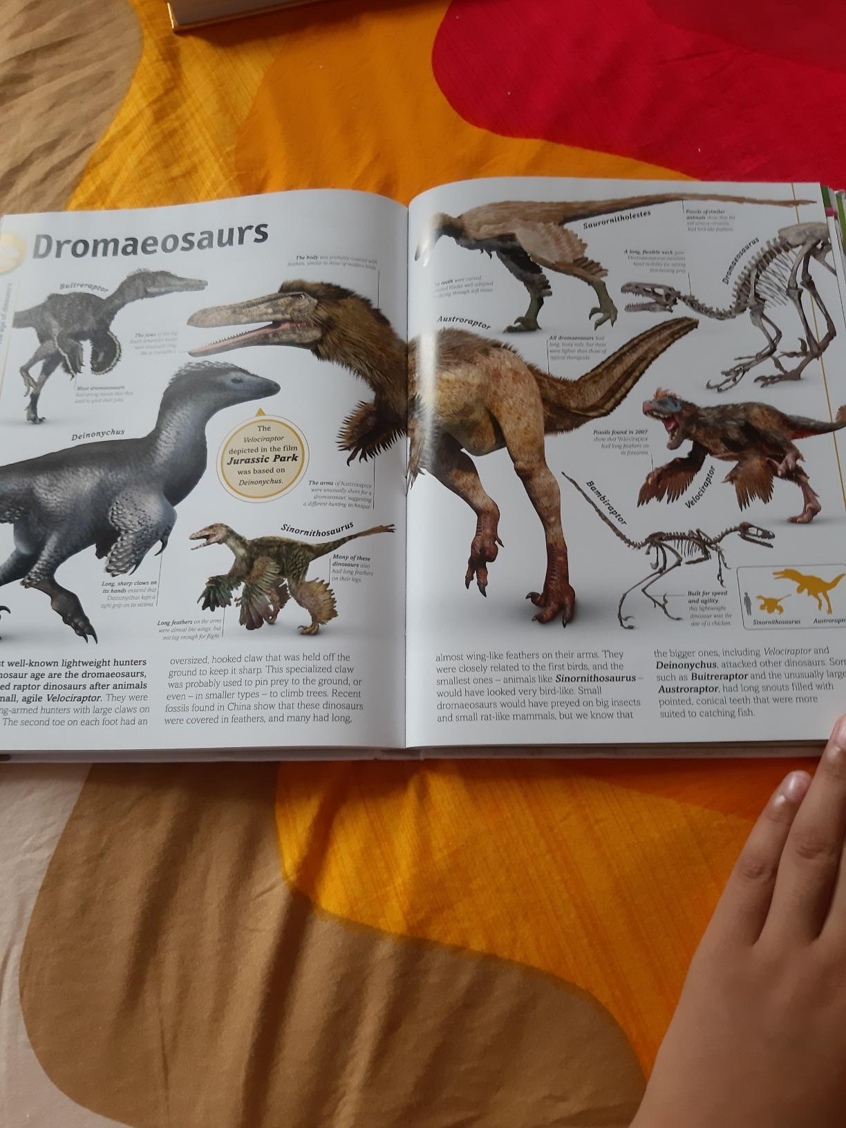 Our World in Pictures The Dinosaurs Book (DK Our World in Pictures ...