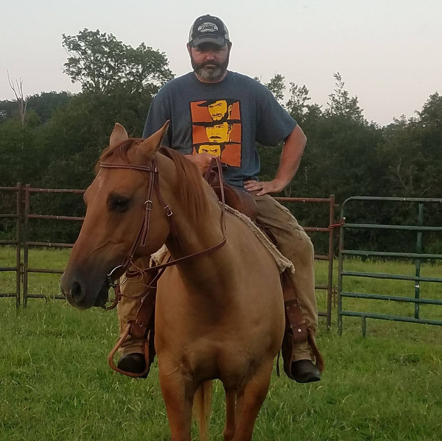 Amazon.com: Steven Bird: books, biography, latest update