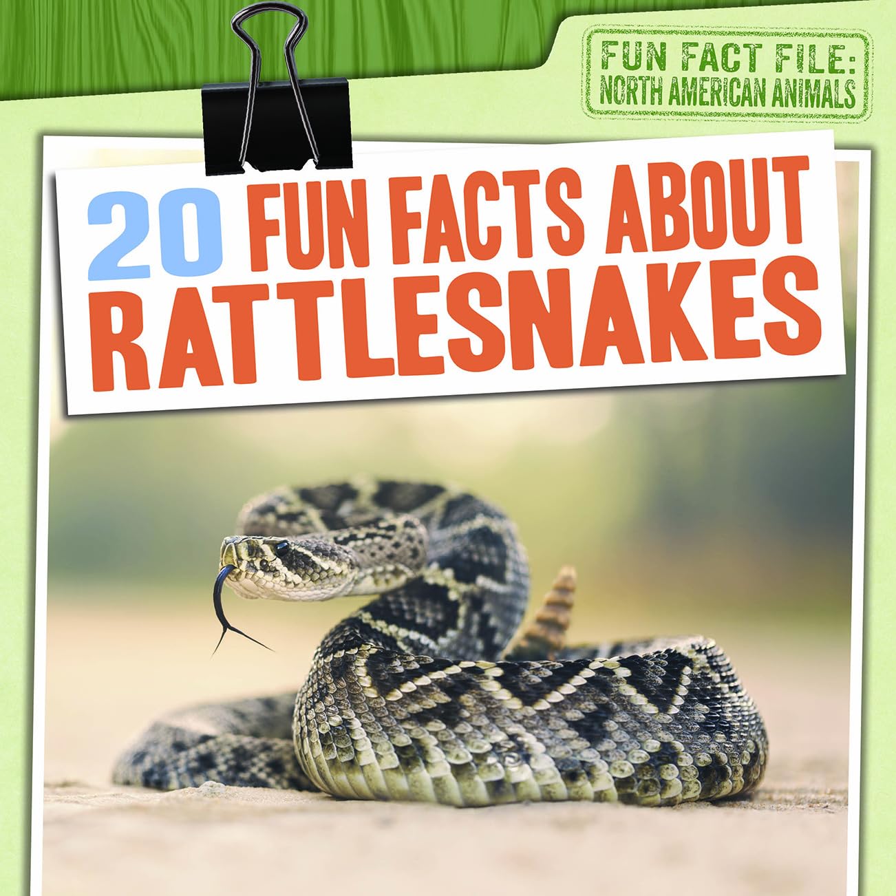 20 Fun Facts about Rattlesnakes (Fun Fact File: North American Animals ...