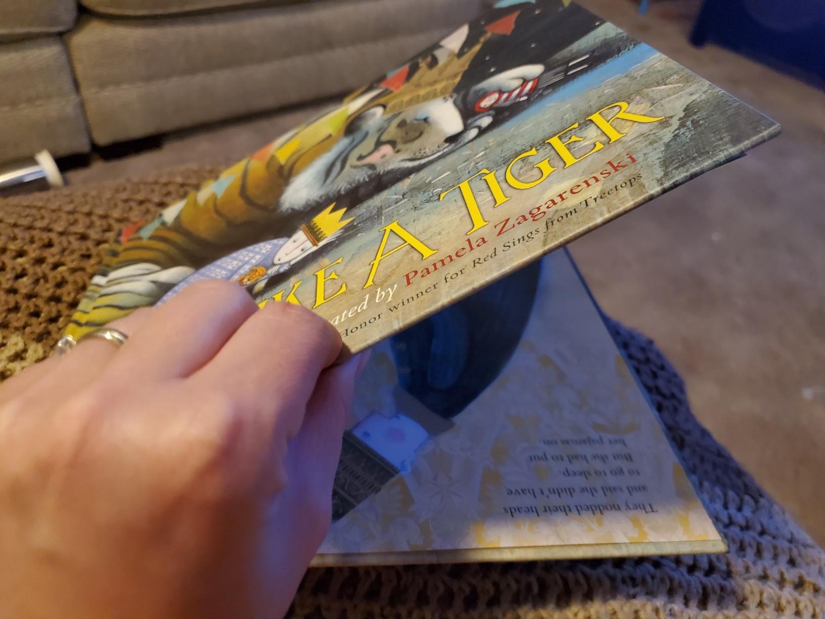 Amazon.com: Sleep Like a Tiger Lap Board Book: 9781328482648: Logue ...