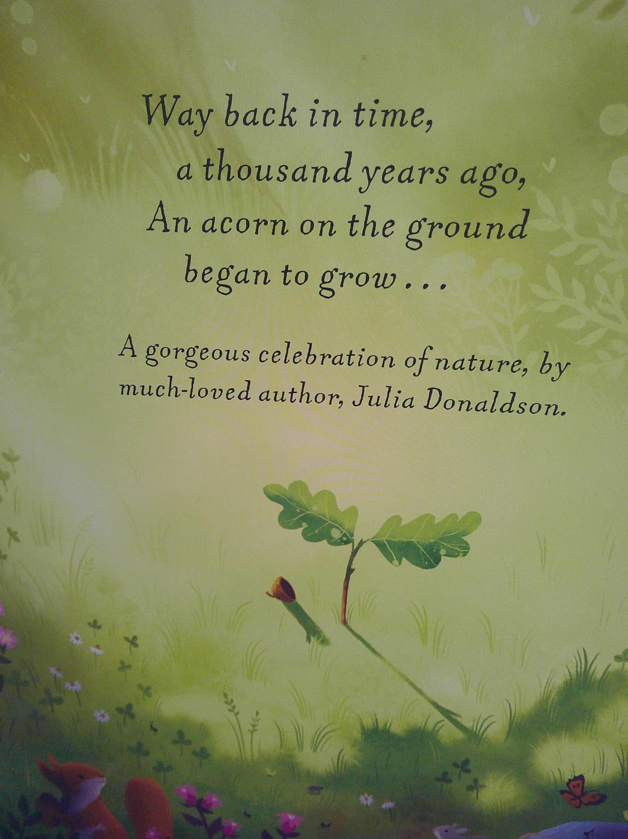 The Oak Tree: a dazzling, poetic picture book, by Julia Donaldson ...