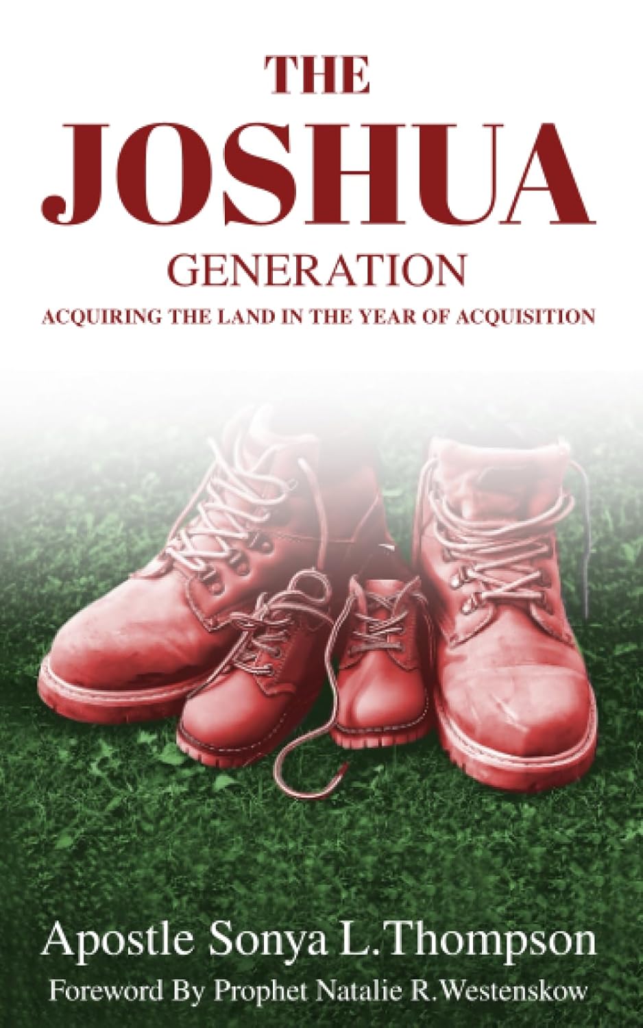 The Joshua Generation: Acquiring The Land In The Year of Acquisition ...