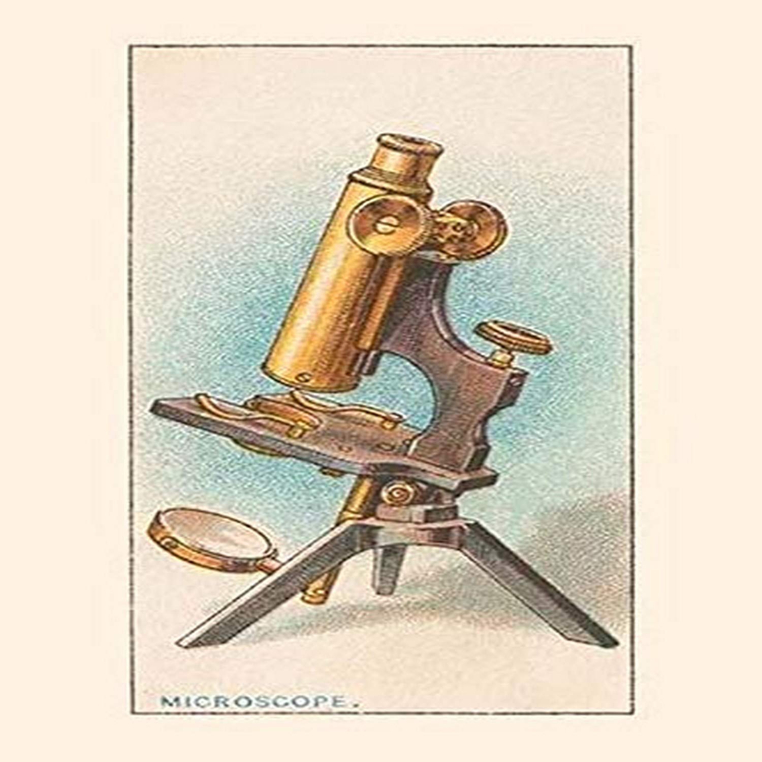 Compound Microscope (1590) at Richard Brundage blog
