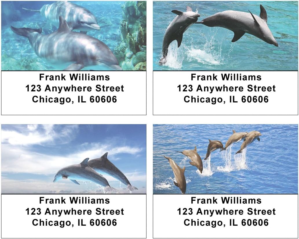 Amazon.com : Dolphins Address Labels : Office Products