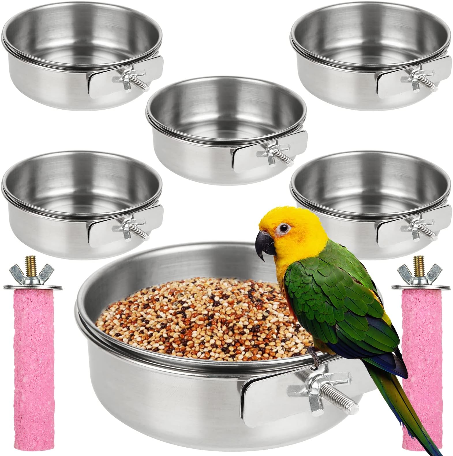Amazon.com : DIRBUY 6 pcs Stainless Steel Bird Bowls for Cage 10 oz and ...