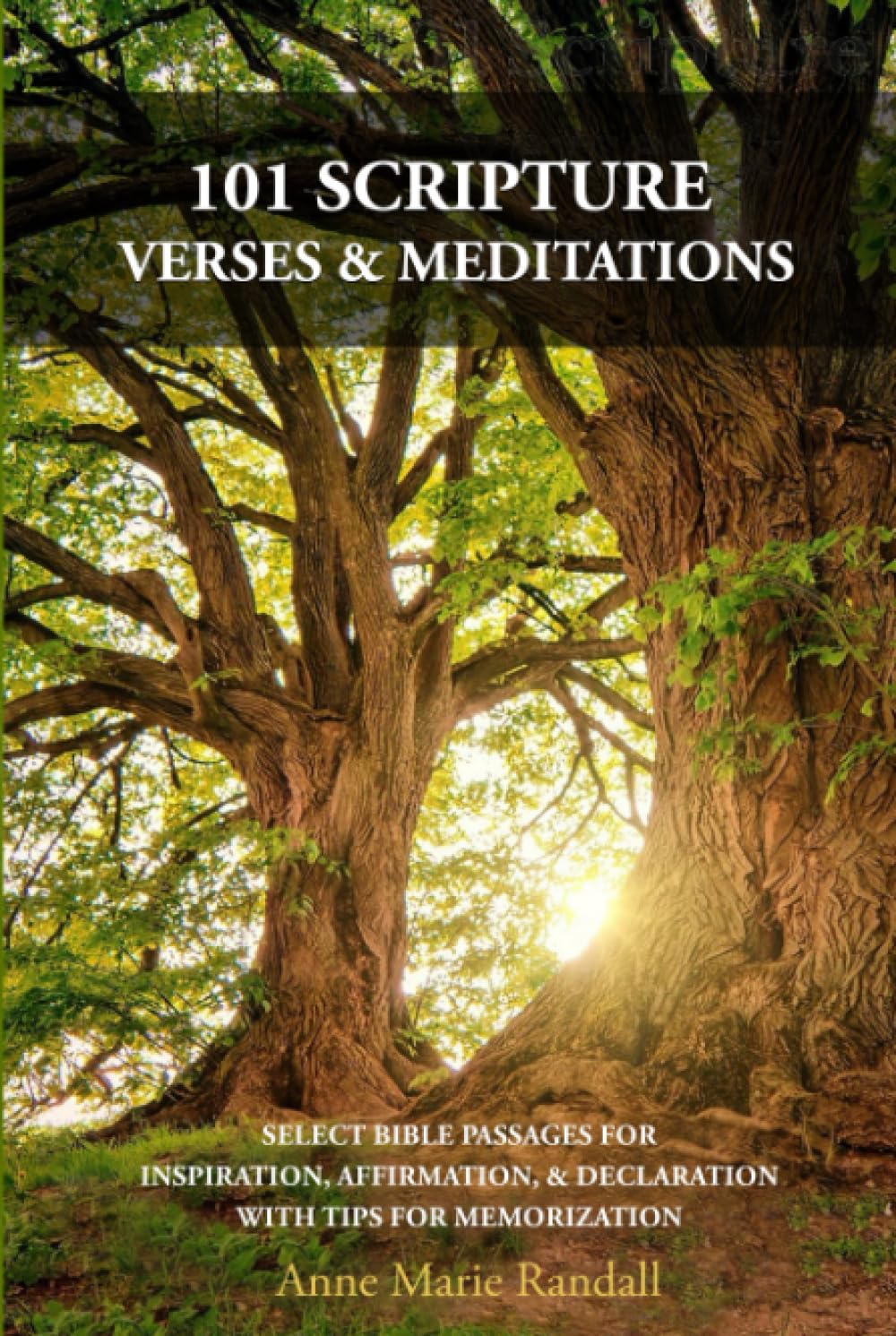 101 SCRIPTURE VERSES & MEDITATIONS: SELECT BIBLE PASSAGES FOR ...