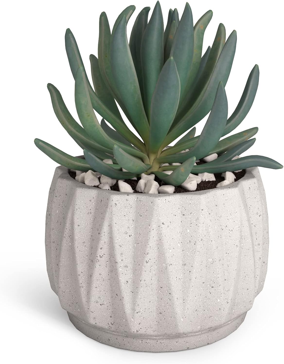Amazon.com: TerraFlame 6in Concrete Flute Flower Pot Planter, for ...