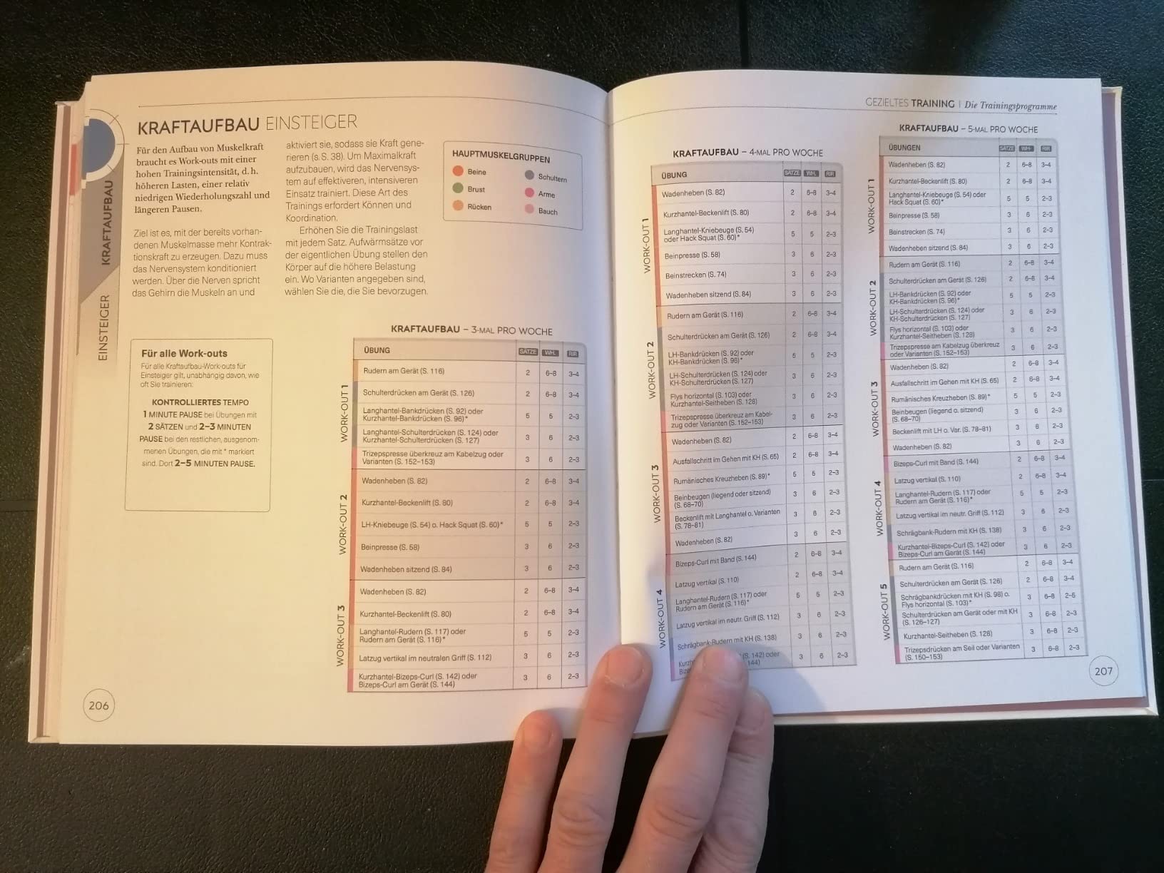 Krafttraining – Die Anatomie verstehen: Mit Übungen zum gezielten ...