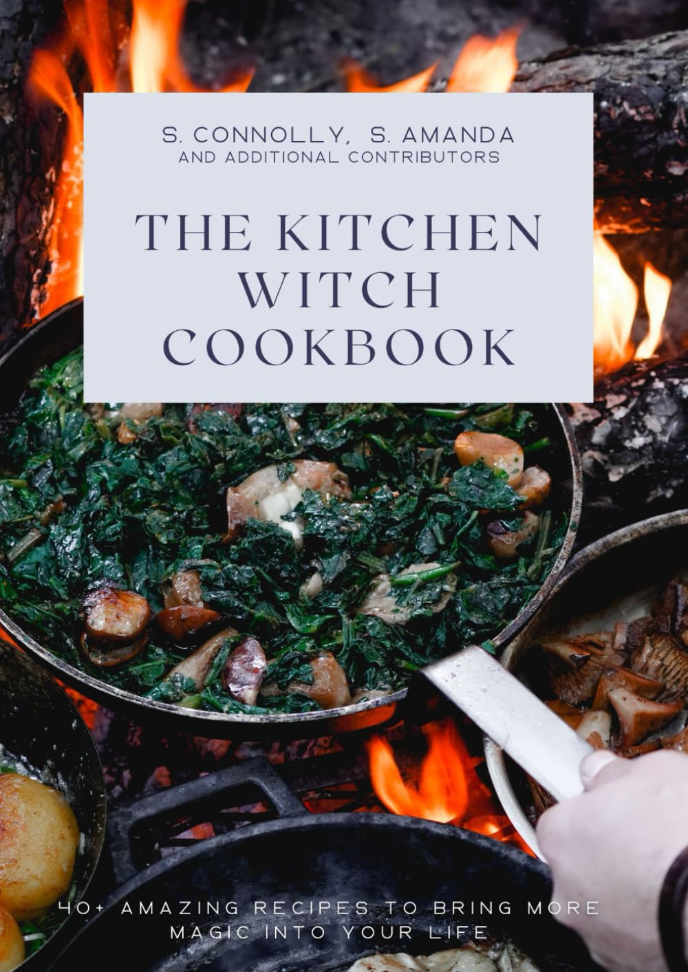 The Kitchen Witch Cookbook: 40+ Amazing Recipes to Bring More Magic ...
