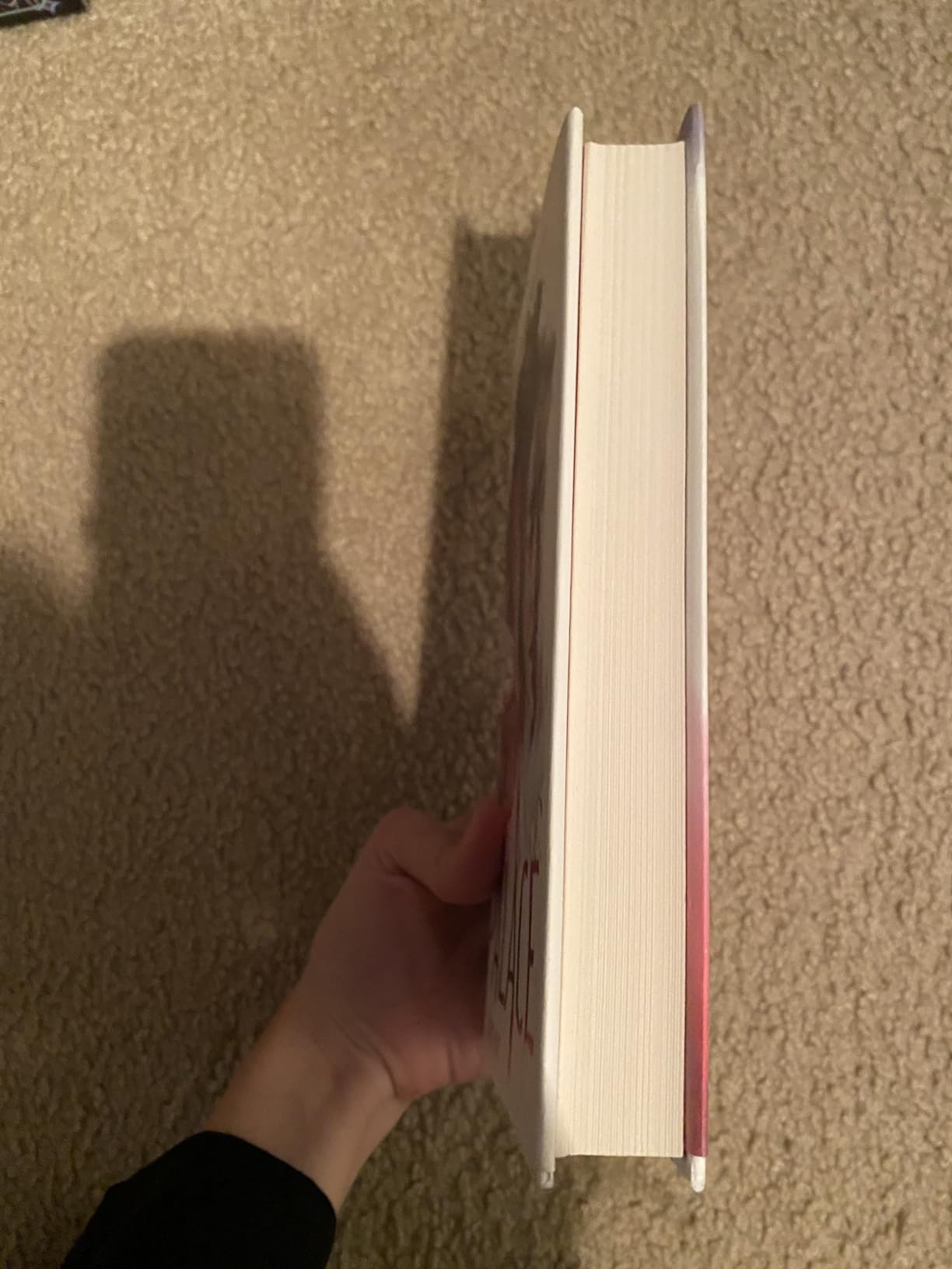 Amazon.com: The Red Palace: 9781250800640: Hur, June: Books