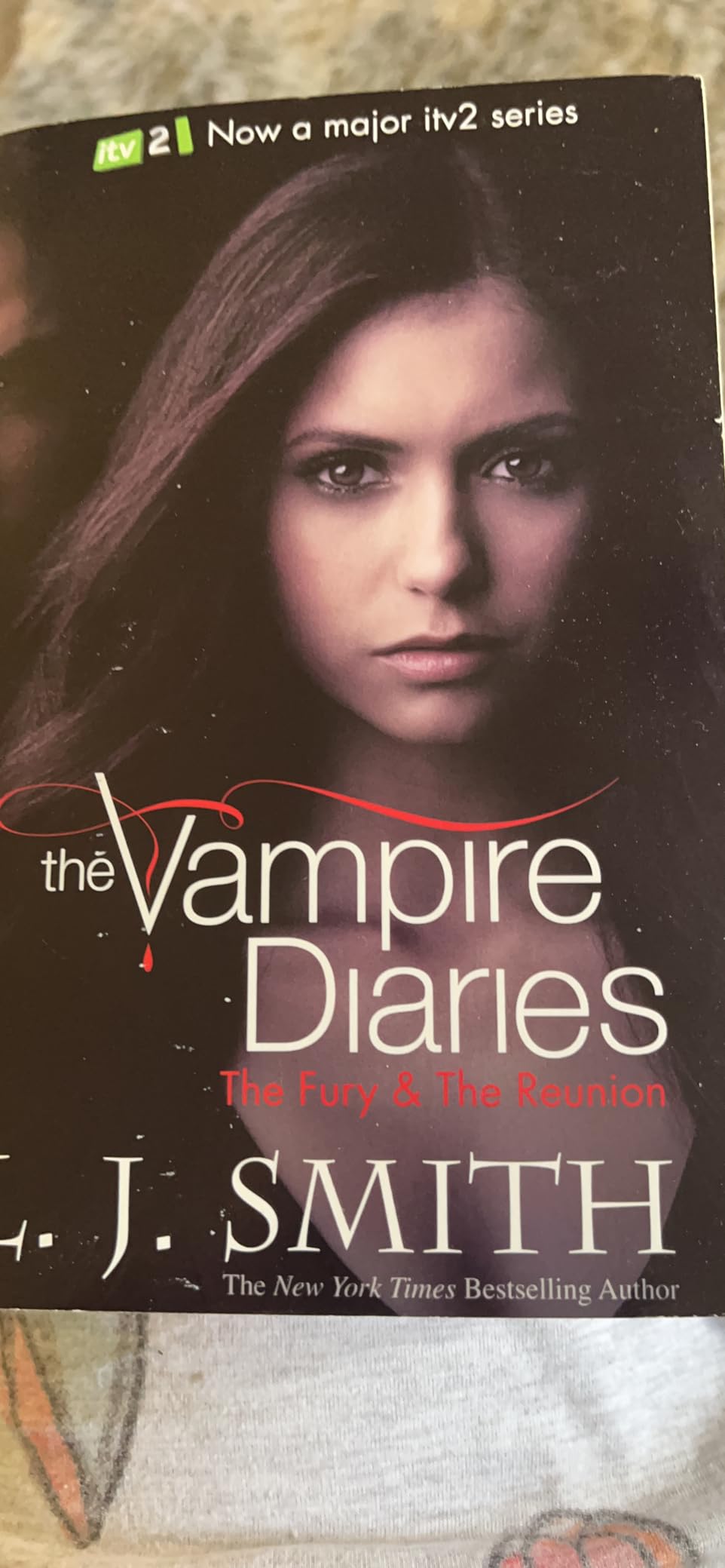 The Vampire Diaries: The Fury: Book 3 (The Vampire Diaries: The ...