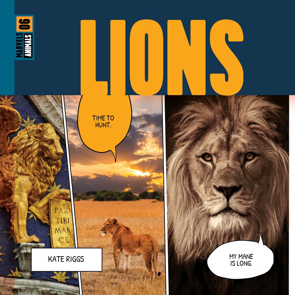 Lions (Marvels): Riggs, Kate: 9781640268432: Amazon.com: Books