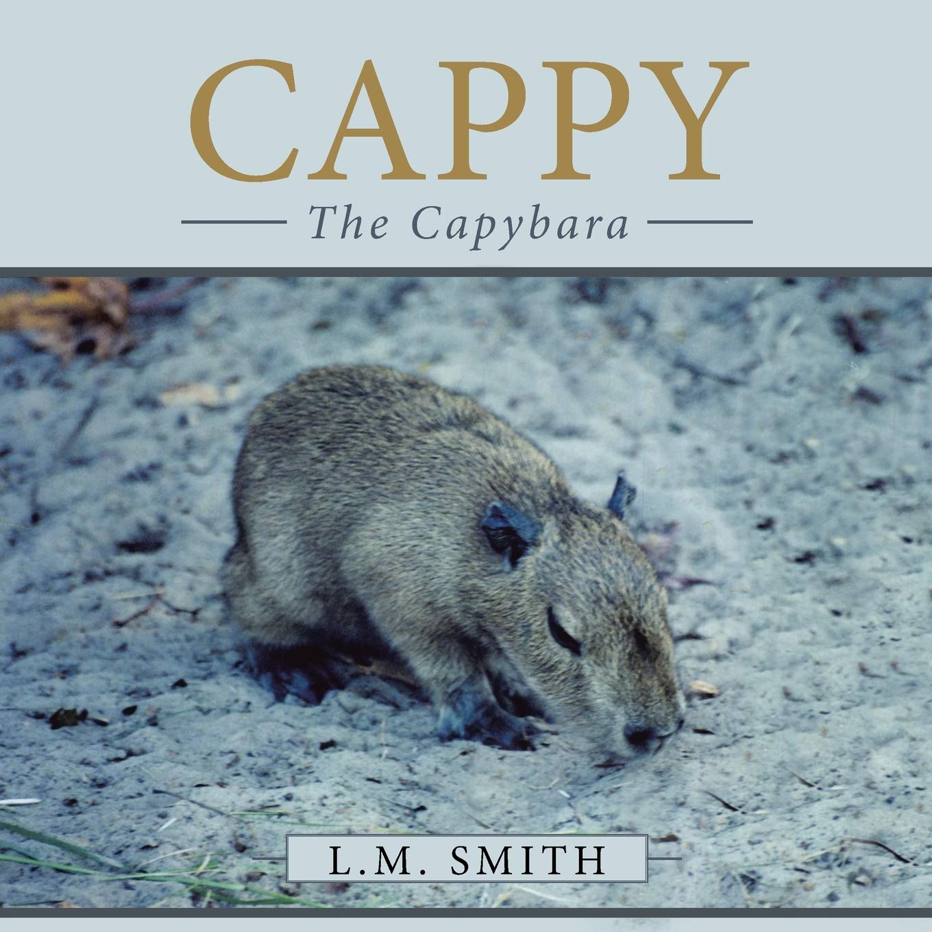 Cappy: Smith, L.M.: 9781524585525: Amazon.com: Books