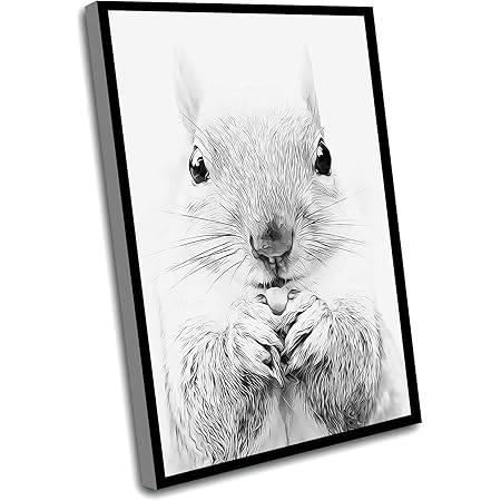 Amazon.com: Retro Metal Tin Sign Squirrel Poster Once Upon A Time There ...