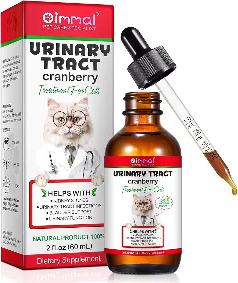 Understanding The Importance Of Urinary Acidifiers For Cats | PetShun