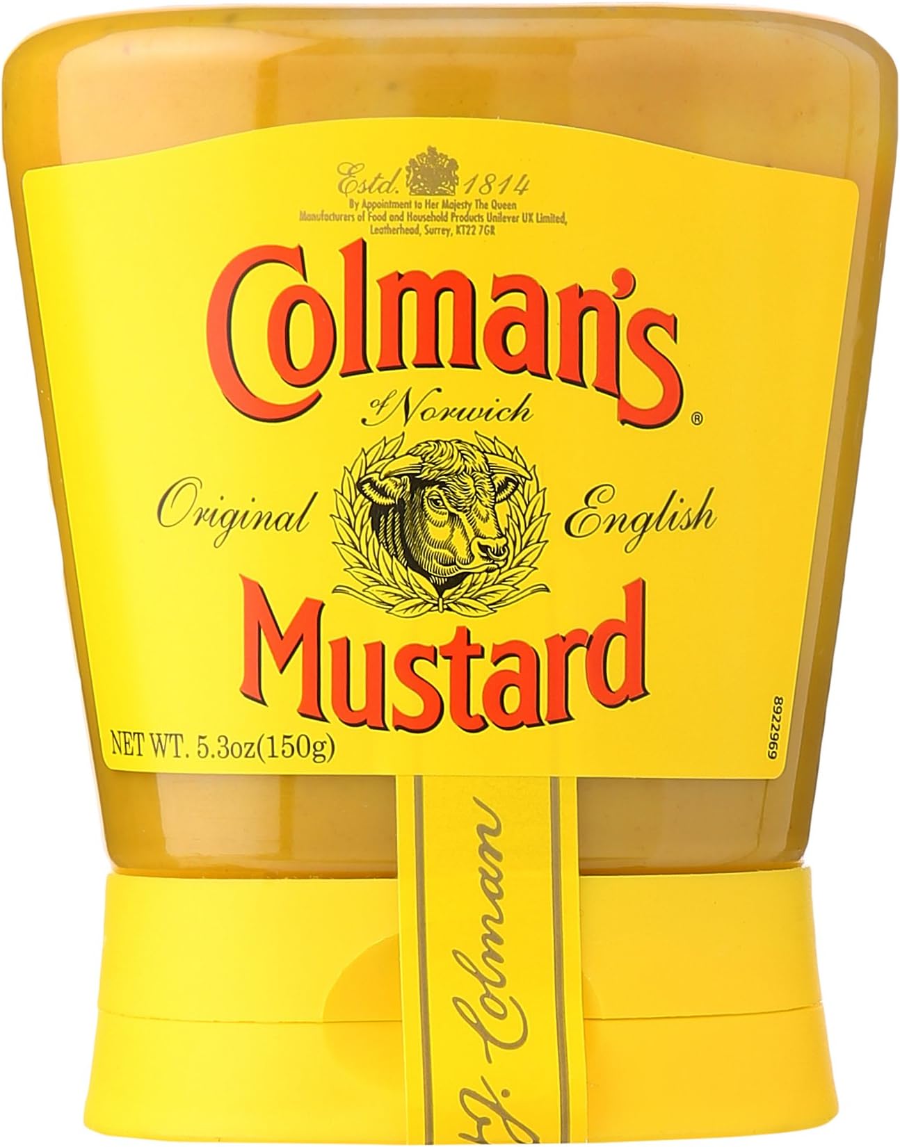 Amazon.com : MUSTARD SQUEEZY : Grocery & Gourmet Food