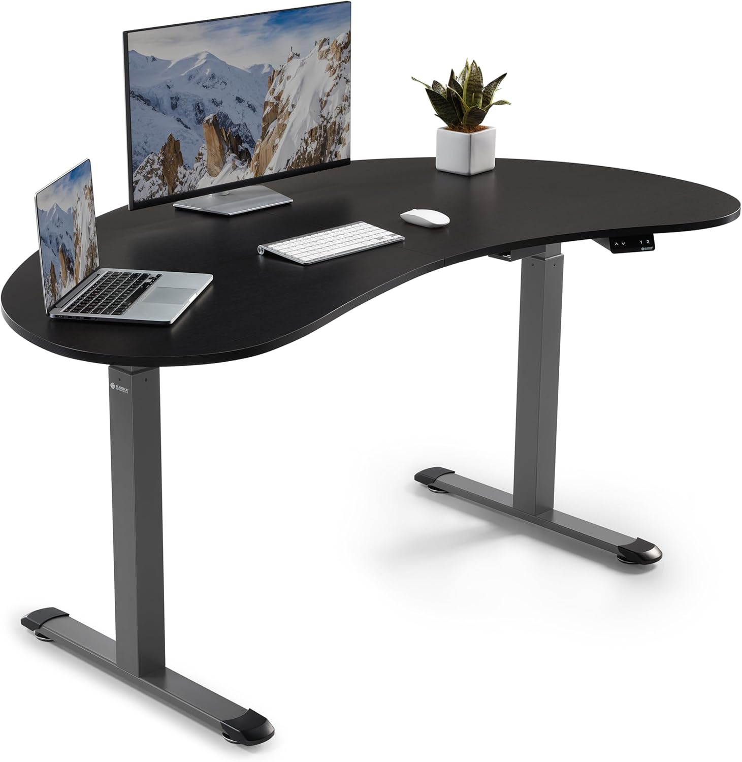 Amazon.com: EUREKA ERGONOMIC Electric Standing Desk 70 Inch Home Office ...