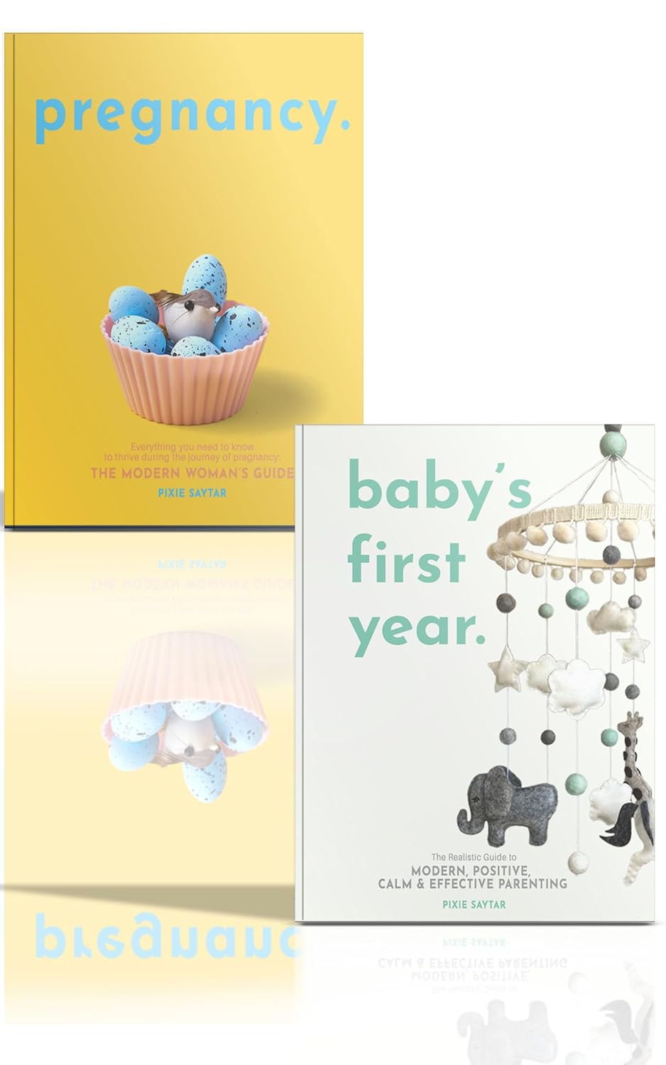 Pregnancy and Baby's First Year: 2 Books in 1 Bundle: The Realistic ...