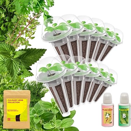 Amazon.com : AeroGarden Gourmet Herb Seed Pod Kit - Herb Seeds for ...