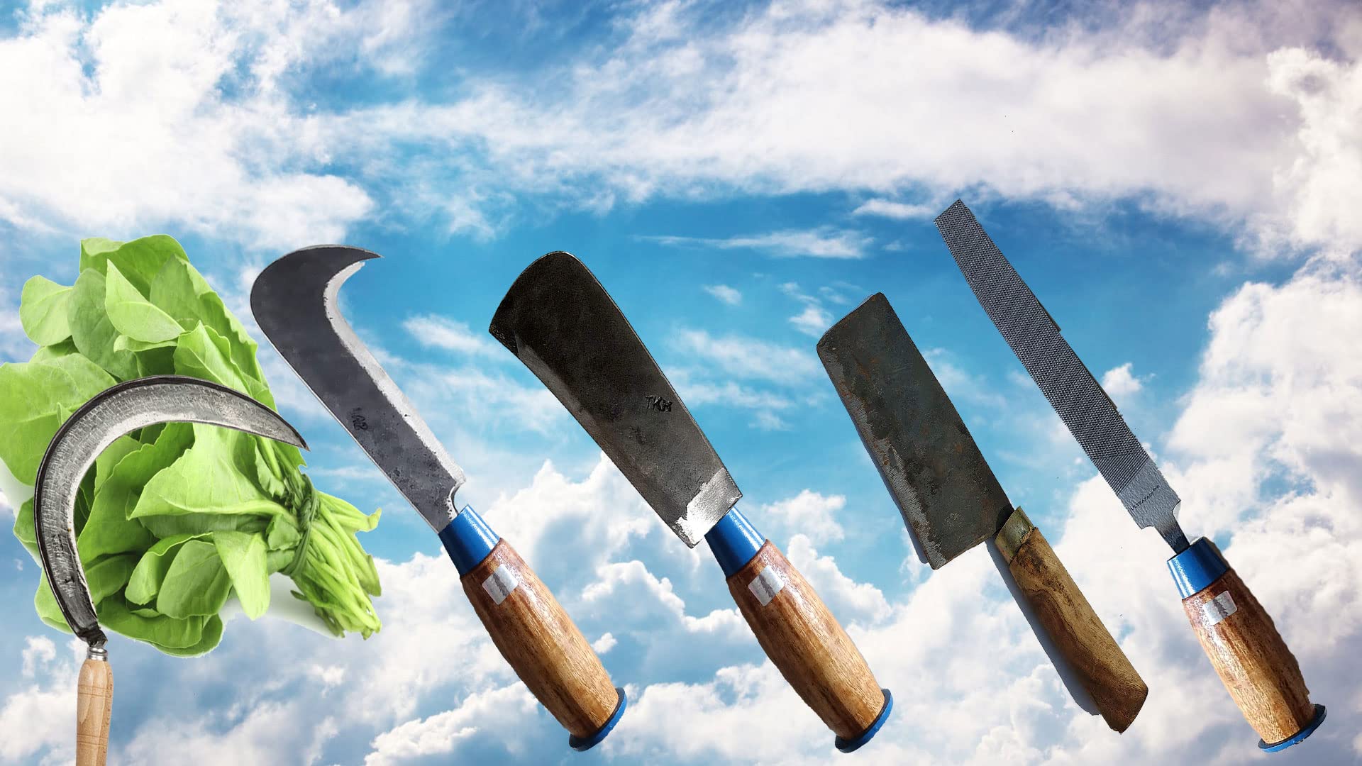 Cocoland Meatstar Professional Meat Cutting Knife 6mm Width Unique Matt ...