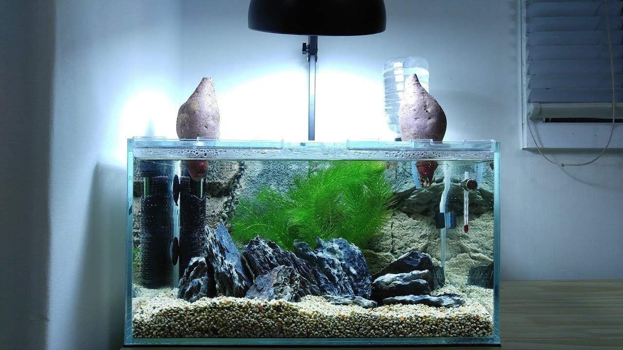 Parko Home Decoration Turtle Aquarium Tank Beautiful Fashion Clear ...