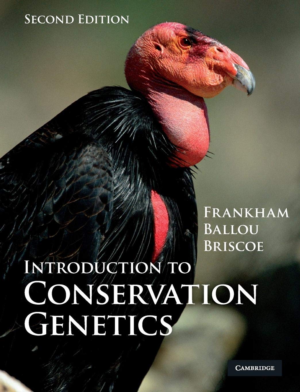 Amazon | Introduction to Conservation Genetics | Frankham, Richard ...