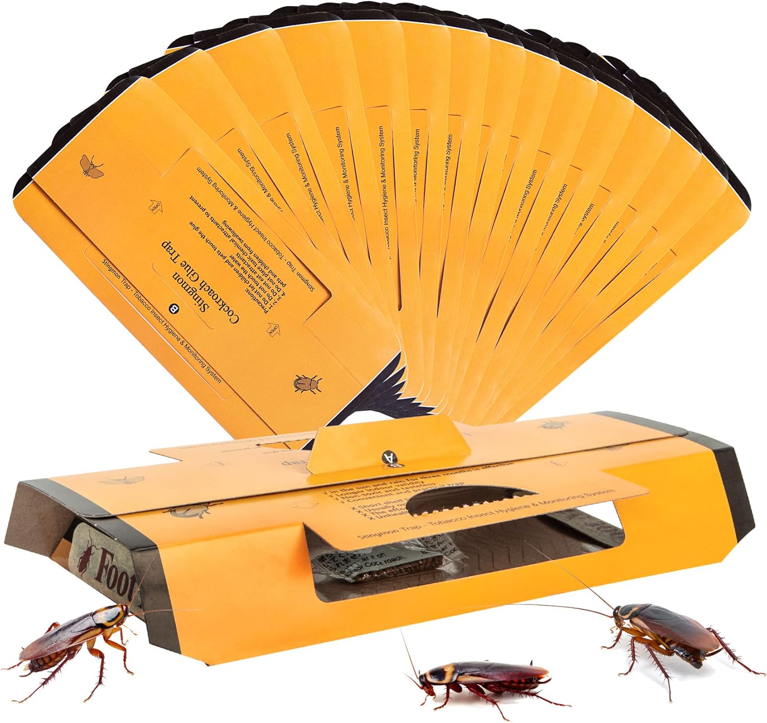 Amazon.com : 24 Pack Roach Traps Indoor Roach Killer Indoor Infestation ...