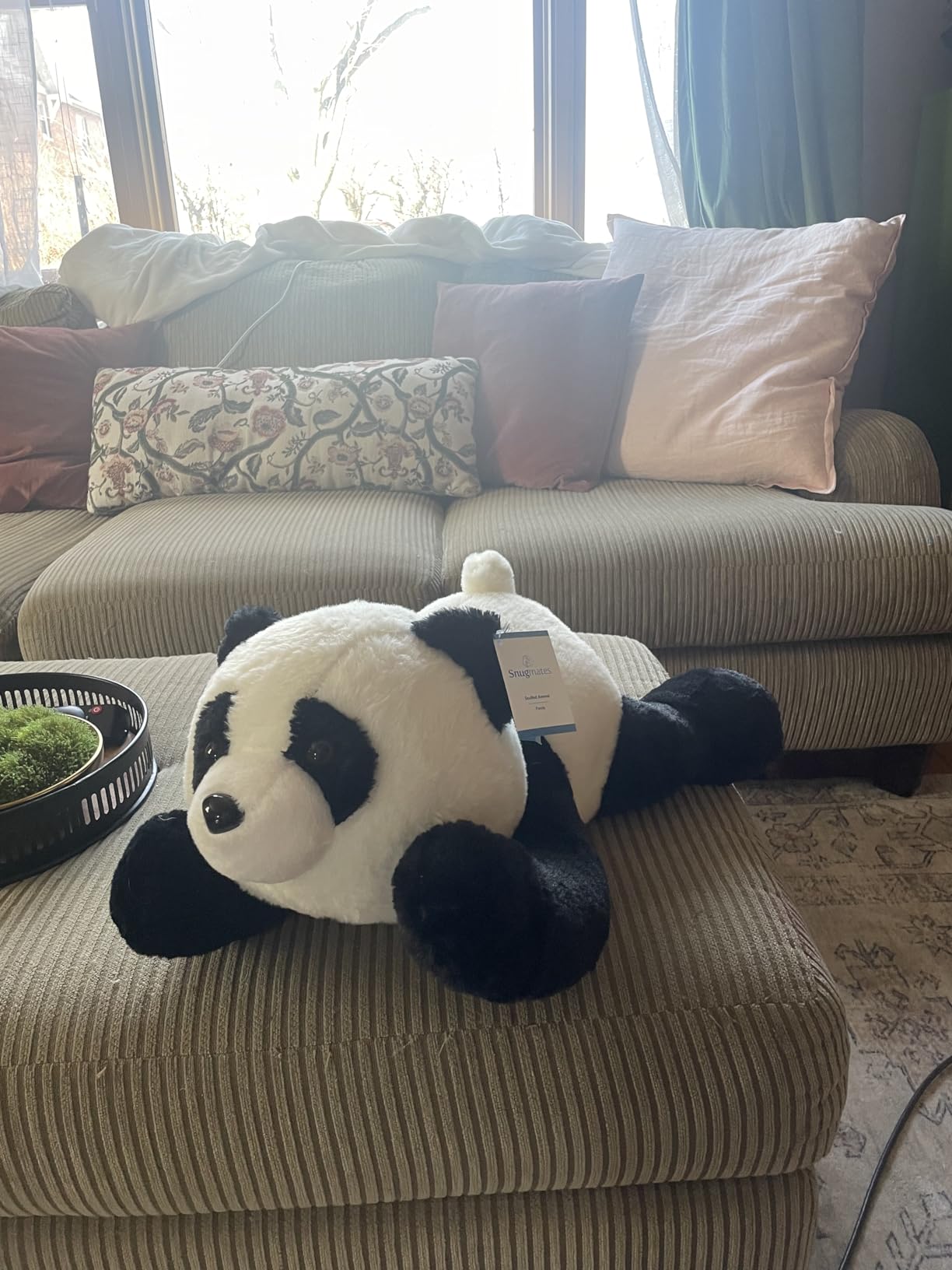 Amazon.com: Weighted Stuffed Animal 10 lbs | Cute Weighted Stuffed ...