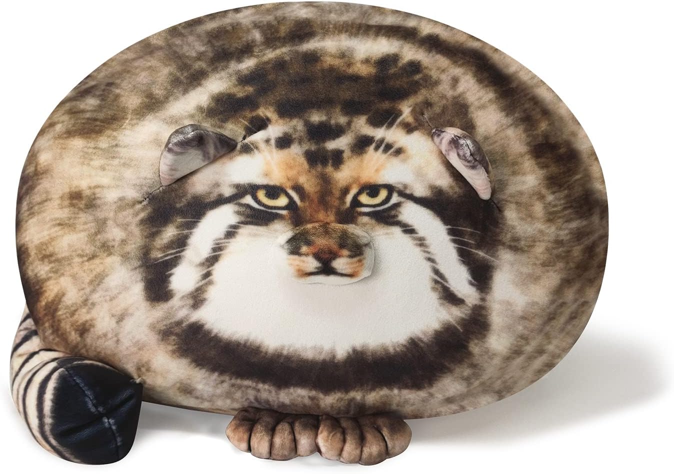 Amazon.com: AOLIGE 18 inch Cat Plush Pillow Stuffed Pallas Cat Pillow ...
