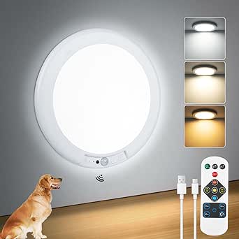 Aggforbl Battery Powered Ceiling Light with Remote, 7.48" Rechargeable ...