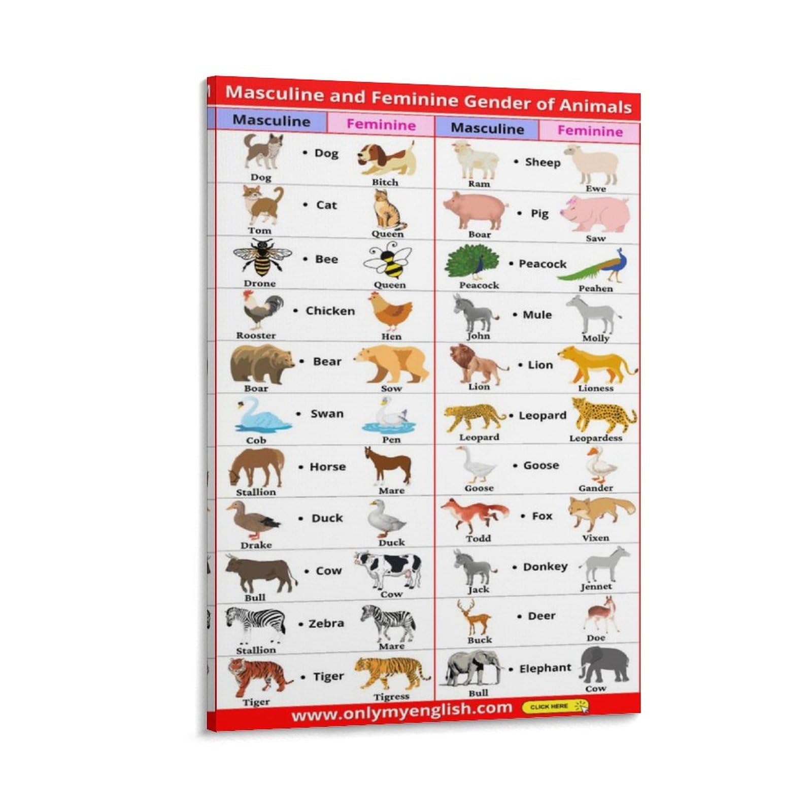 Masculine And Feminine Gender Examples