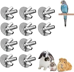 Amazon.com: Nuatpetin 10Pcs Fitting Screws for Birdcage Small Animal ...