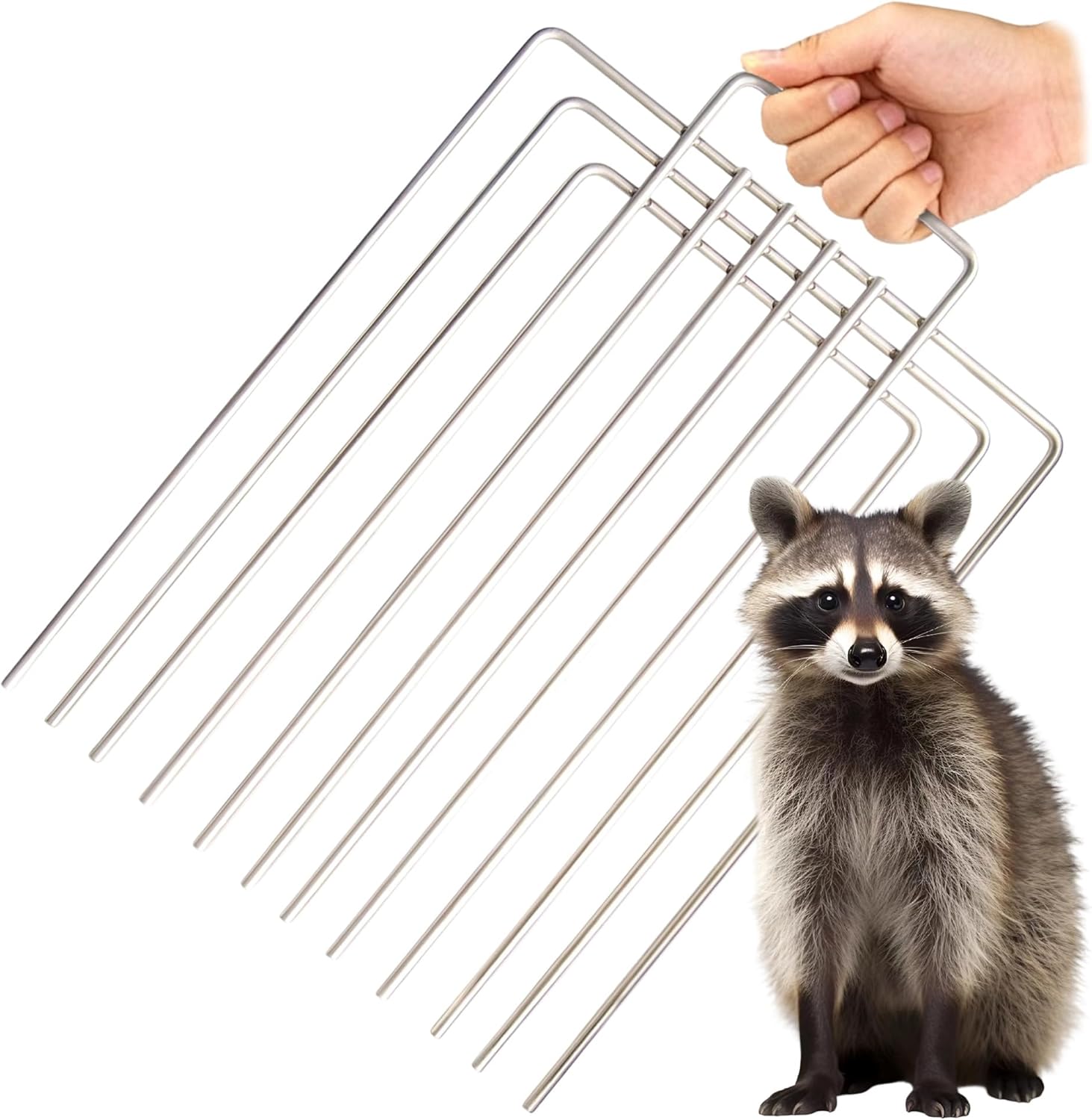 Amazon.com : Trap Divider for Feral Cat & Animal Control Cages ...