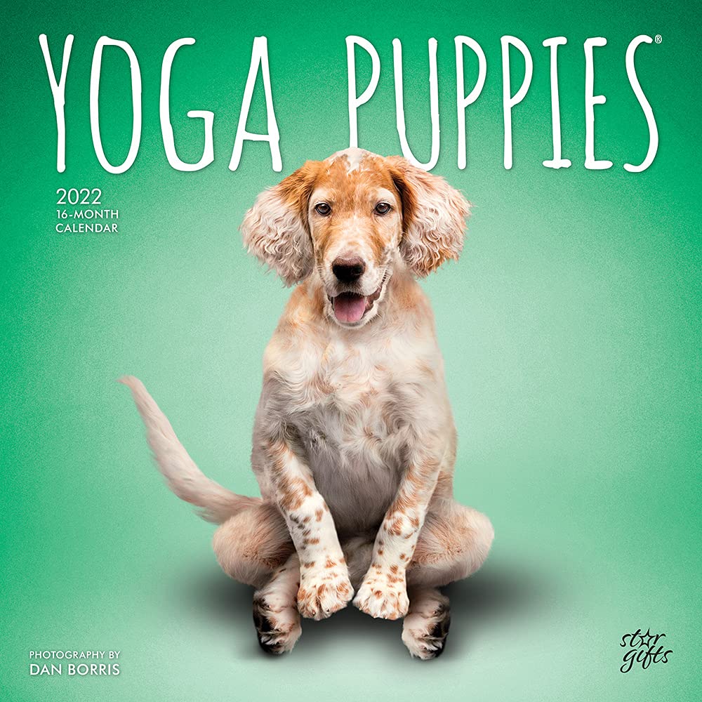Amazon.com: Yoga Puppies OFFICIAL 2022 12 x 12 Inch Monthly Square Wall ...