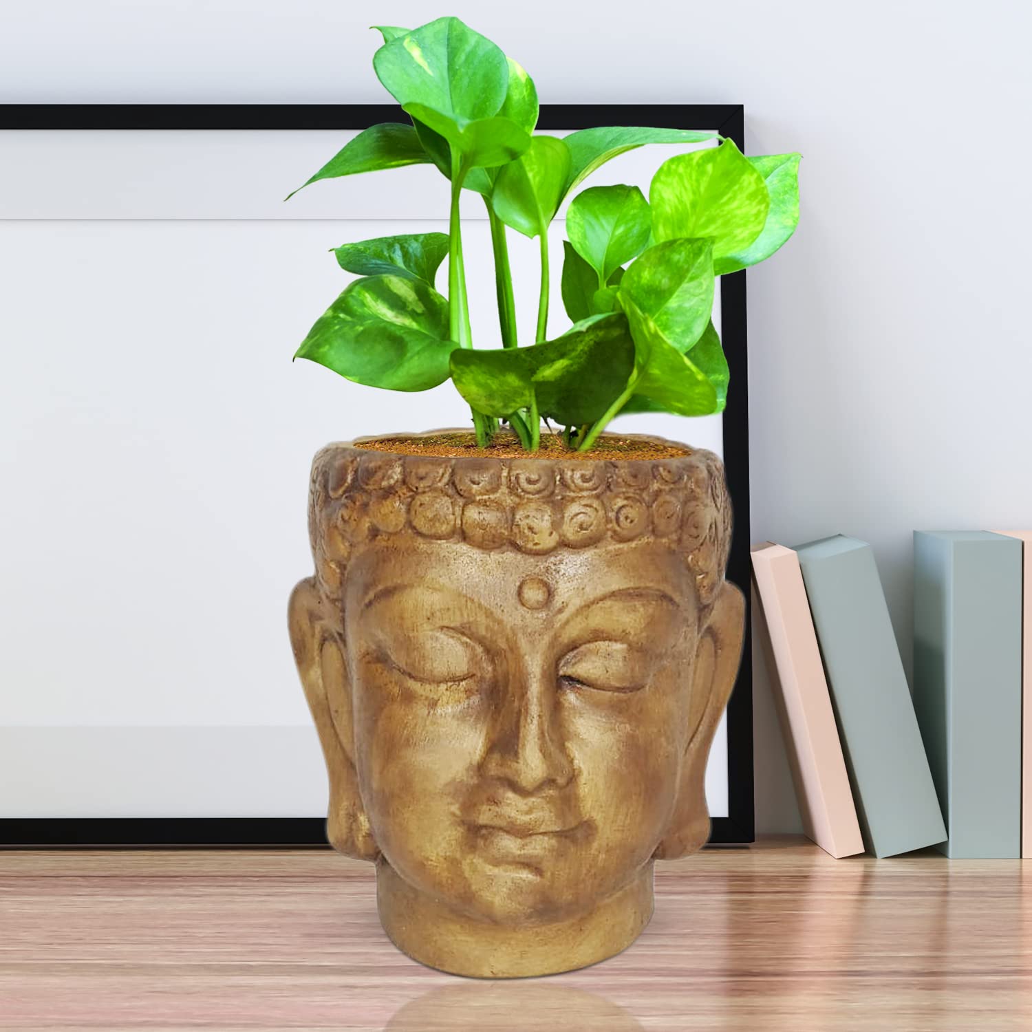 Lasaki Buddha midi Antique Ceramic Pots for Indoor Plants, Planters ...